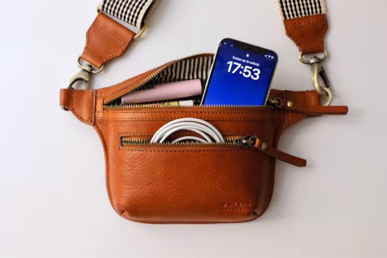 Travel Bum Bag | SurveyPlanet